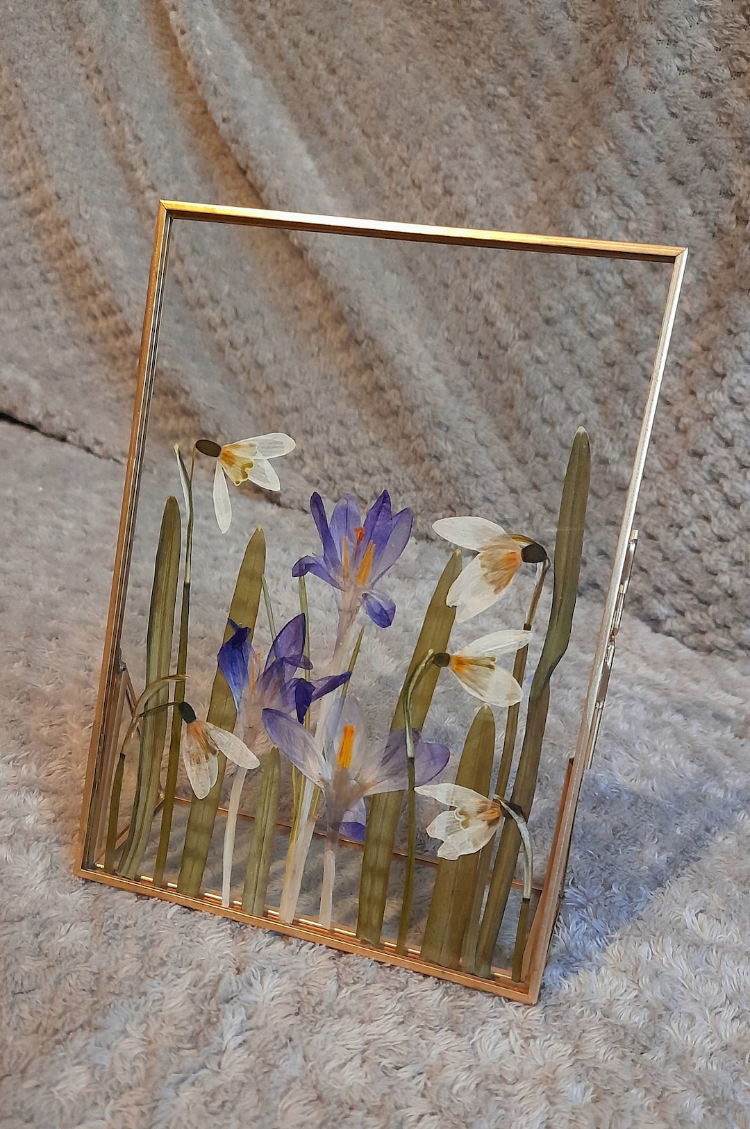 Pressed Flower Meadow Snowdrop Crocus Dried Flowers Botanical Home ...