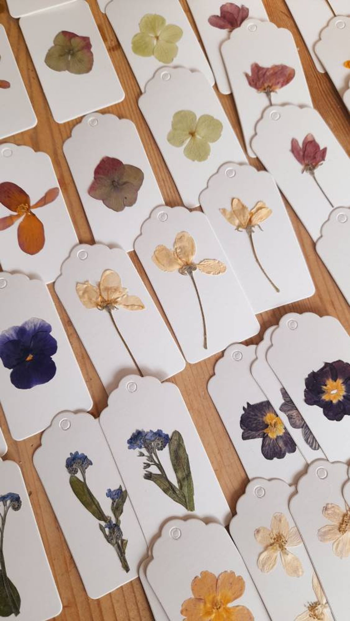 Real Pressed Flower Tags Wedding Favour Gift Tags | Etsy