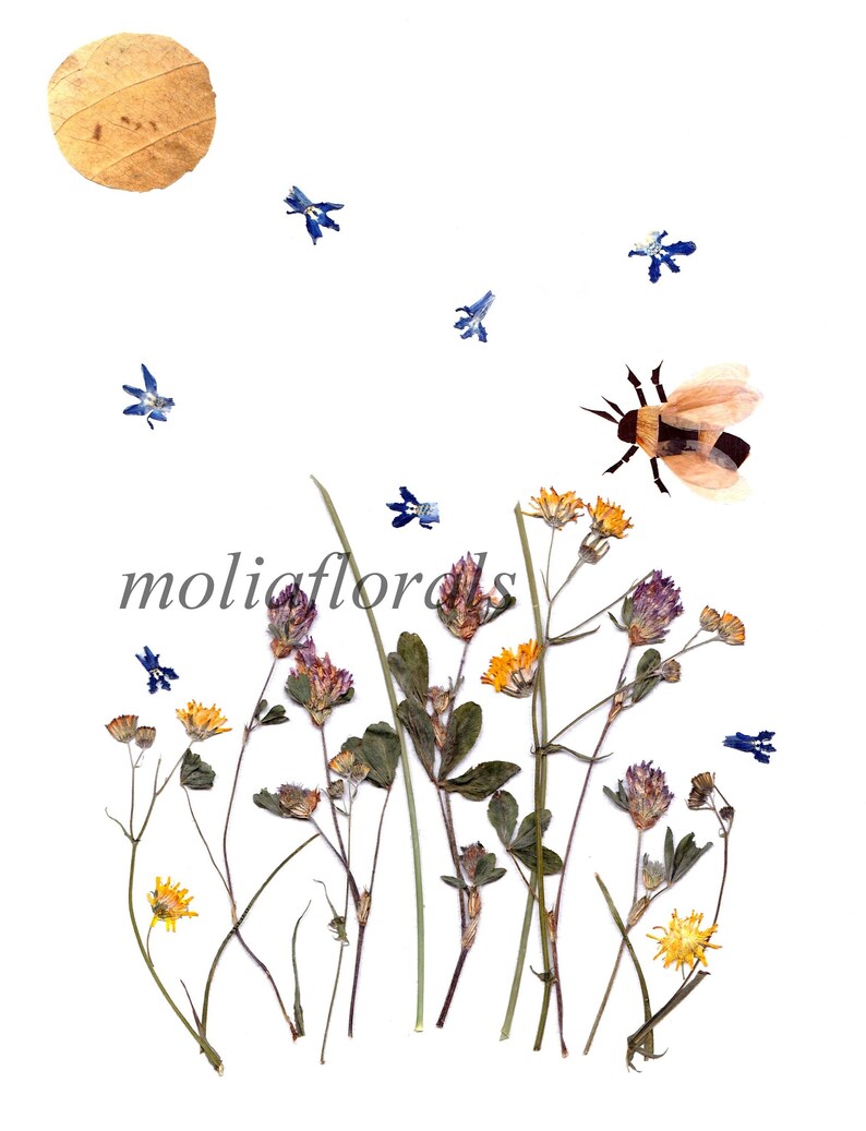 BUMBLE BEE Pressed Flowers Art Print Picture Wall Art Home - Etsy