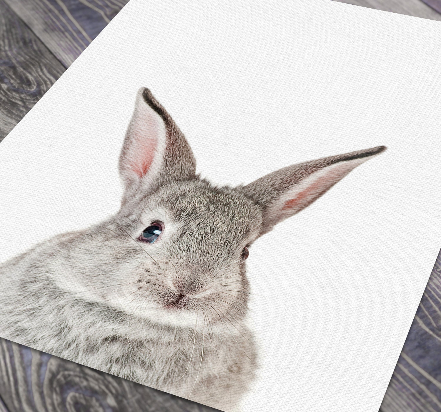 Bunny Print, Rabbit Poster, Nursery Art, Baby Room Animal Printable ...