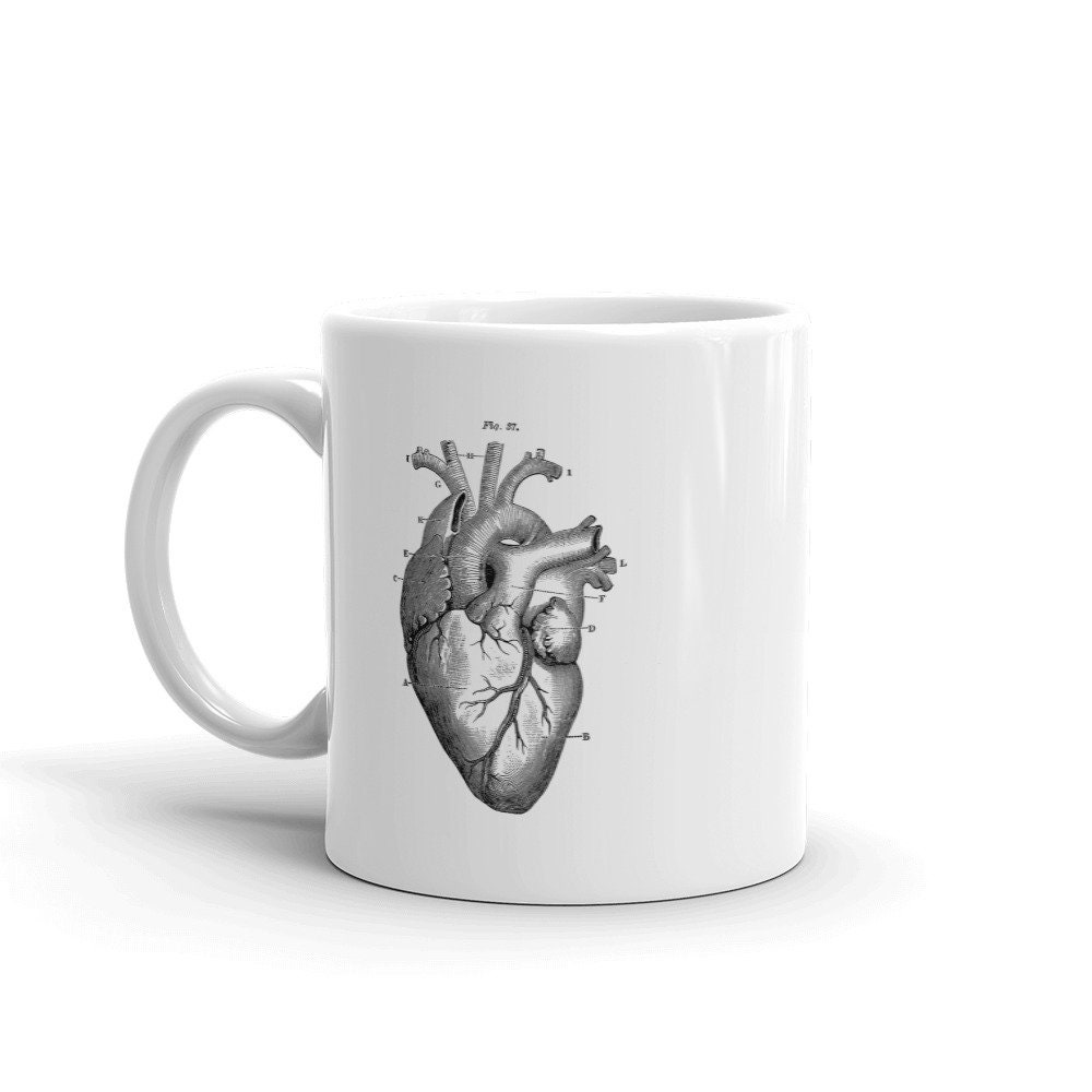 Vintage Heart Anatomy Drawing Coffee Mug, Cardiology Doctor Graduate ...