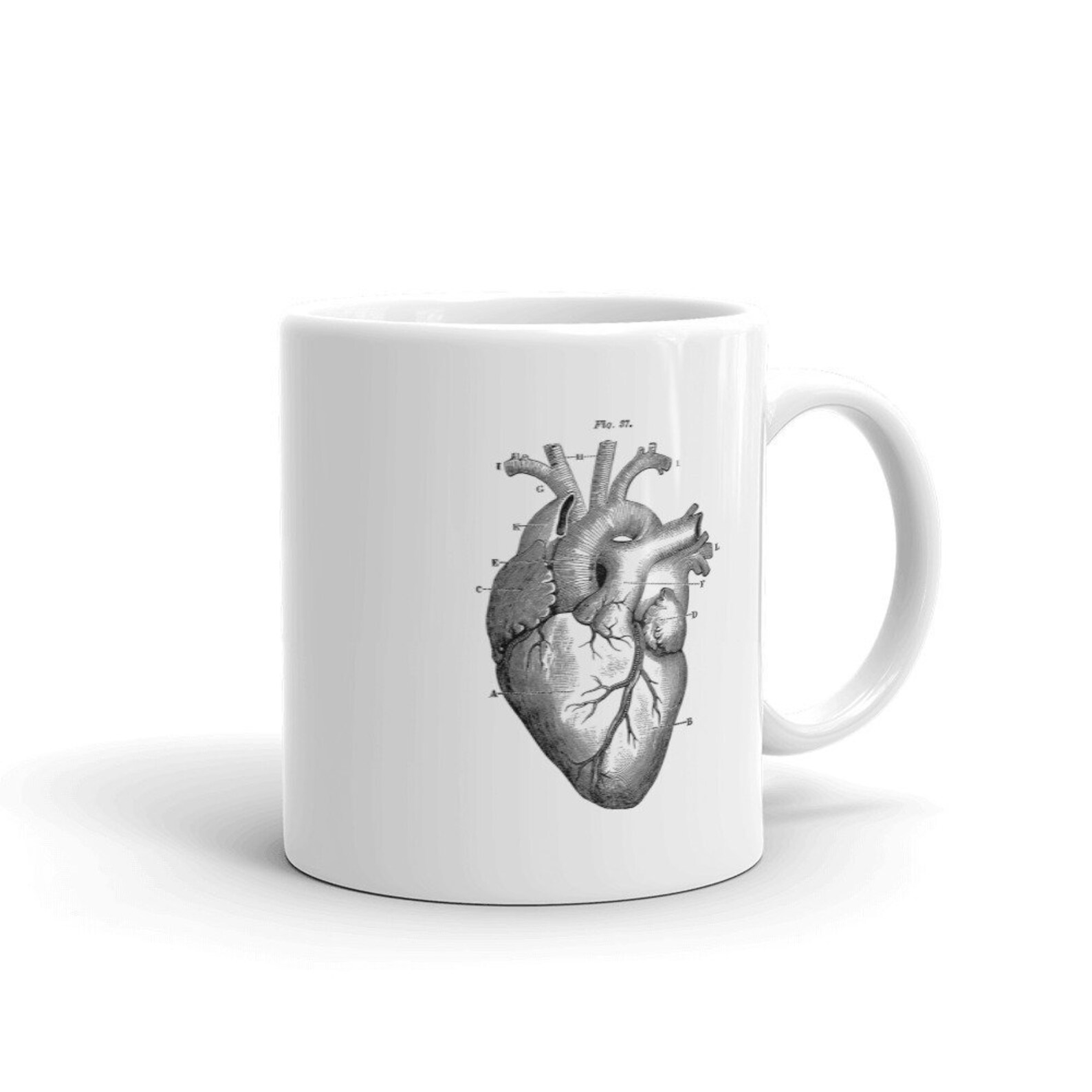 Vintage Heart Anatomy Drawing Coffee Mug, Cardiology Doctor Graduate ...