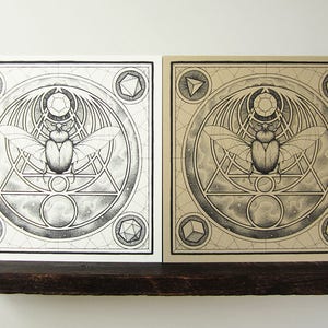 Platonic Solids Beetle Limited Edition Fine Art Print | Hand-pulled ...