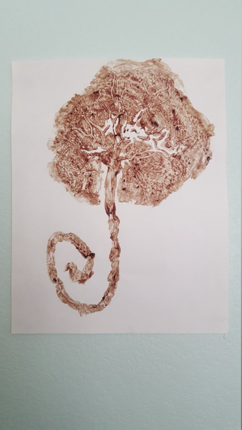 Custom Placenta Print Inspired Painting - Made to Order - Birth Art ...