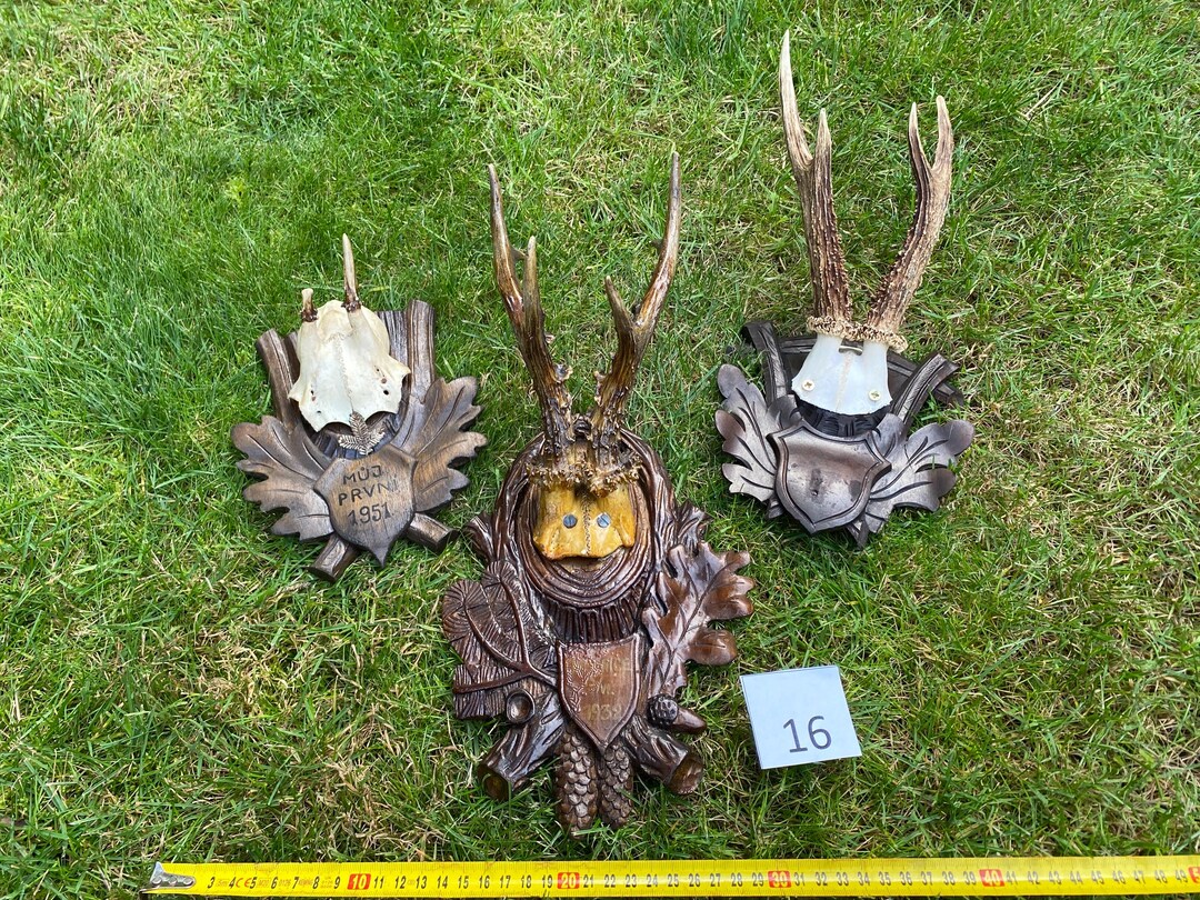 Antique Roedeer Antlers Wood Carved Mounts Blackforest Victorian ...