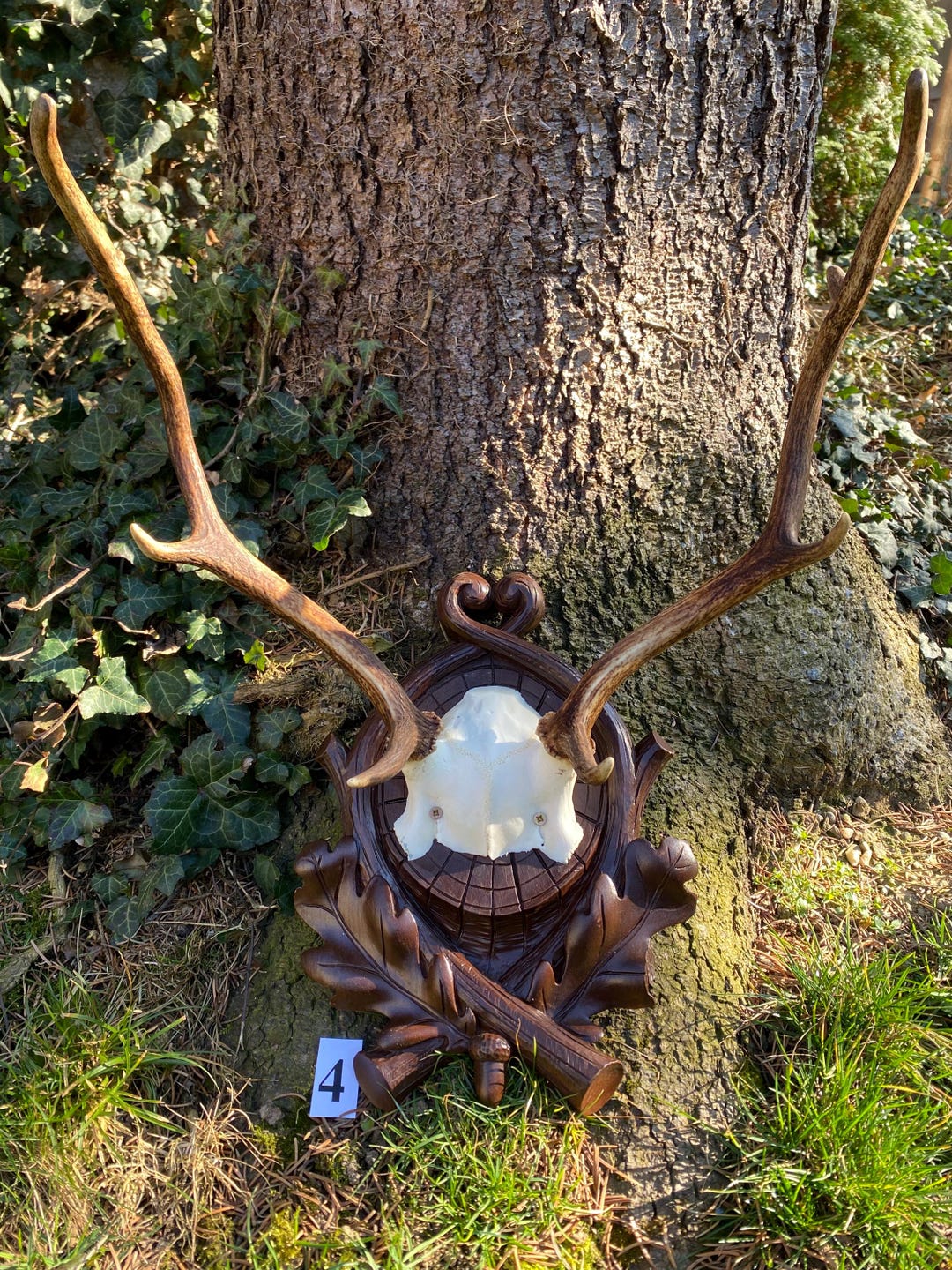 Fallow Deer Trophy Mount Hand Carved - Etsy