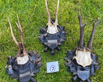 Antique Roedeer Antlers Wood Carved Mounts Blackforest Victorian ...