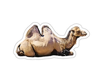 Desert Camel in Hourglass Sand Sticker Dromedary Camel Desert Animal ...