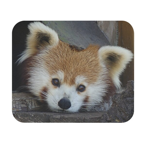 Panda Mouse Pad - Etsy UK