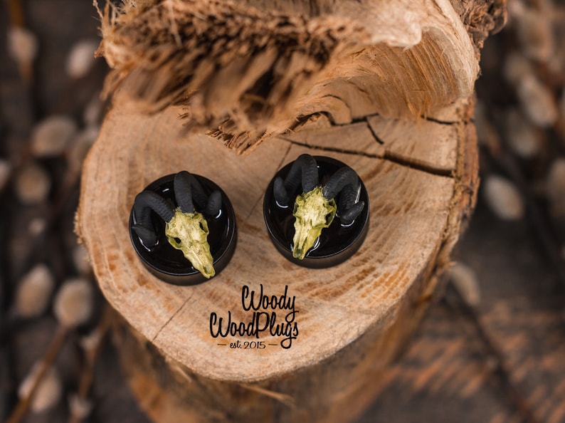 Wenge Wood Ear Plugs With Ram Skull Organic Wooden Ear - Etsy