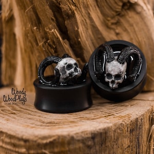 3D Black Plugs With Demon Skulls, Halloween Ear Plug Gauges 20 Mm 21mm ...