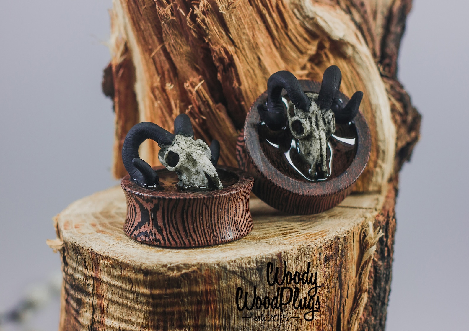 Wenge Wood Ear Plugs With Ram Skull Organic Wooden Ear | Etsy