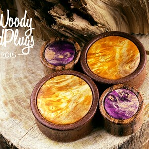 Sapele wood plugs with yellow maple inlay wood ear plugs | Etsy