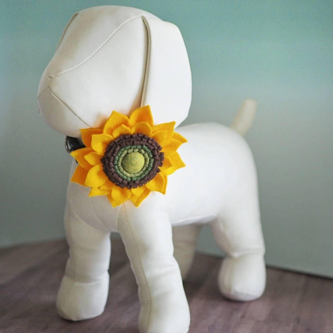 Handmade Felt Sunflower Collar Flower: Pet Accessory for Dogs & Cats - Etsy