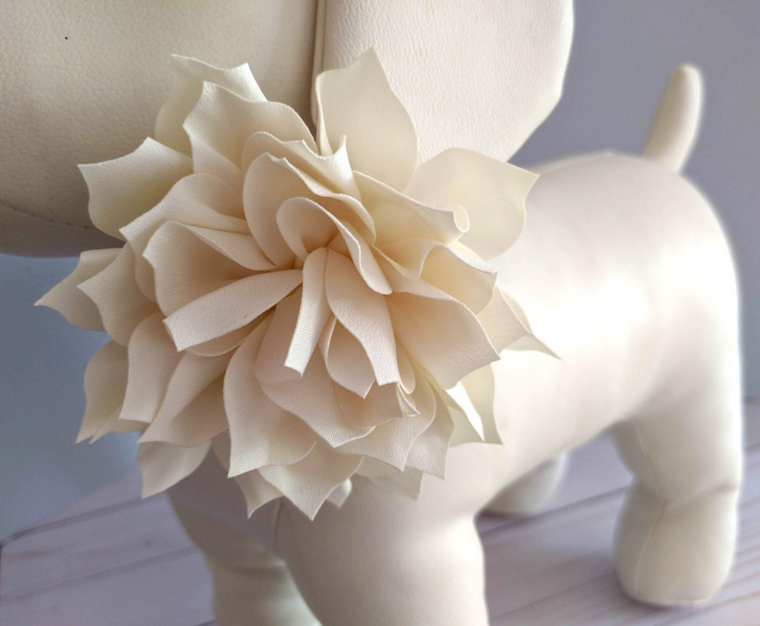 Wedding Collar Flower for Large Dogs: Ivory Champagne White Lotus ...