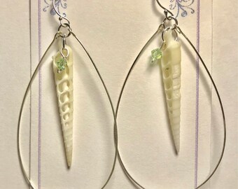 Turret & Auger Shells South Pacific Caribbean Seba Conchology