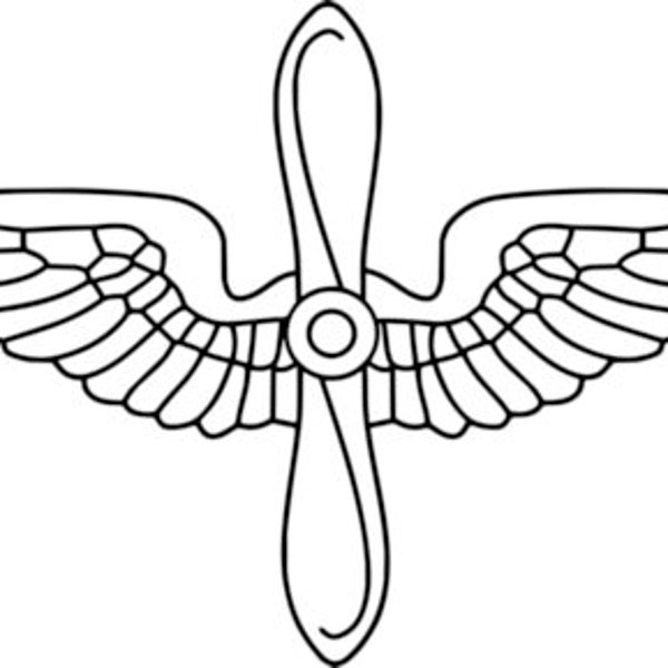 Aviation Branch Svg - Etsy