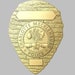 3d File CNC Model U.S. Secret Service Badge With and Without Badge ...
