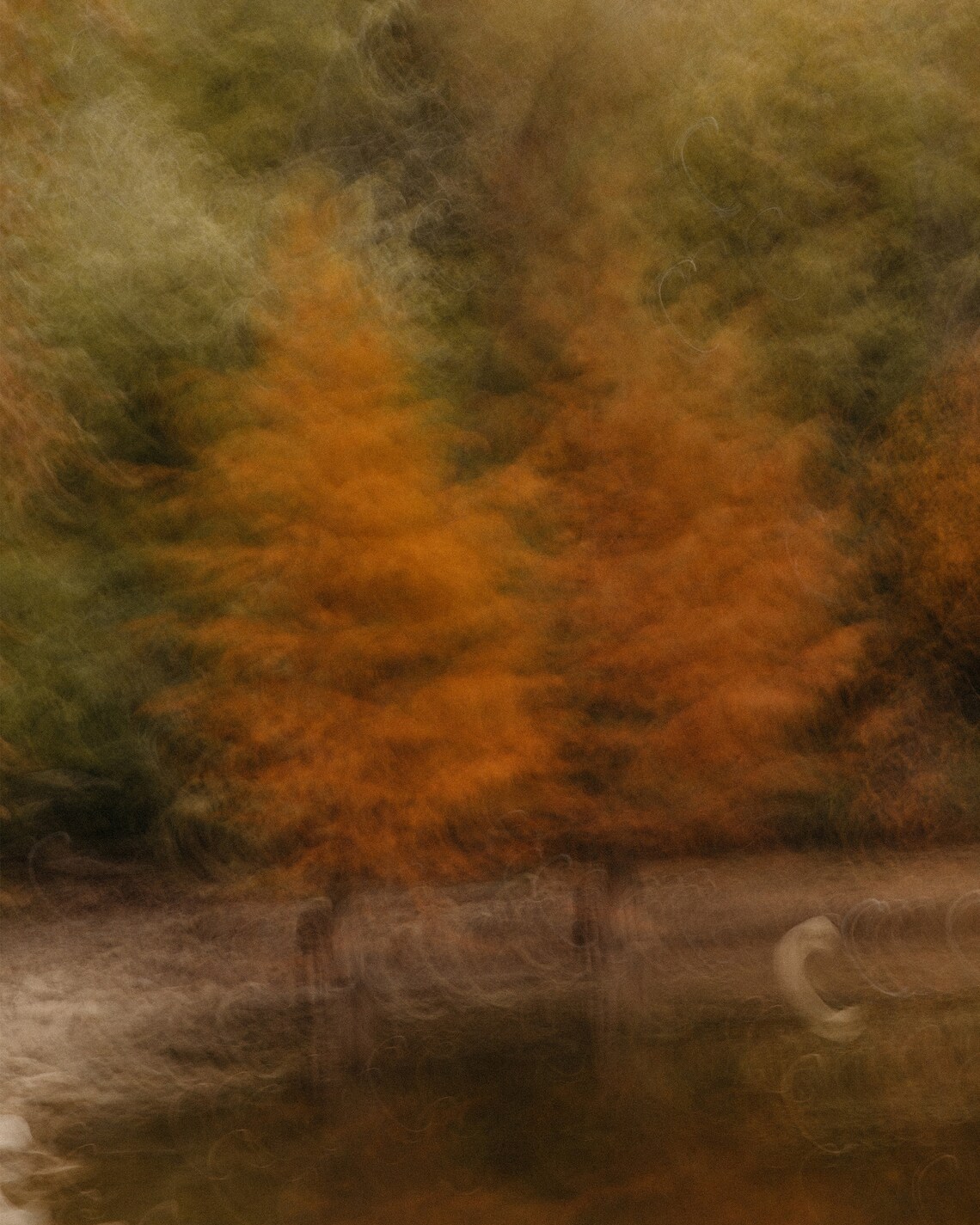 Abstract Autumn Trees, Fine Art Photography, Abstract Art - Etsy