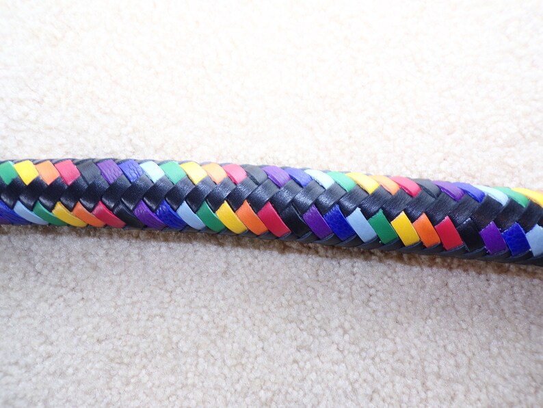 STINGER Rainbow Whip Premium Leather 53 Inches. - Etsy