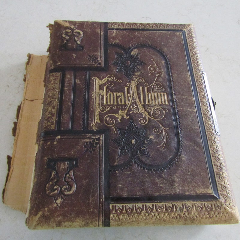 Antique Photo Album - Etsy