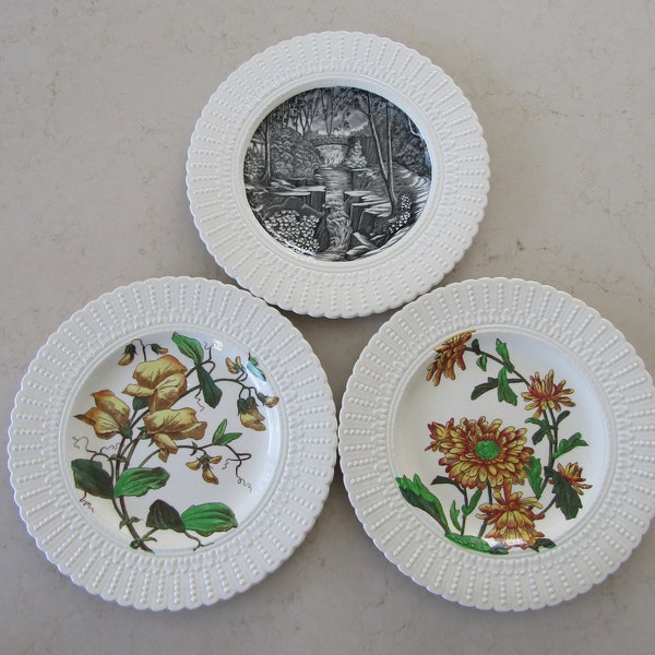 Royal Cauldon Plates - Etsy
