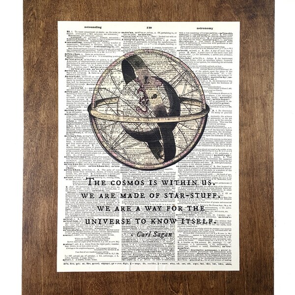 Carl Sagan - Etsy