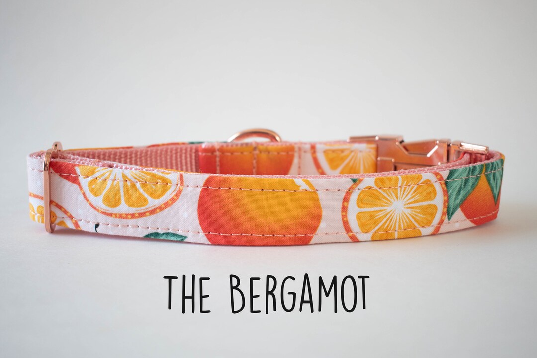 Orange Fruit Dog Collar: Summer Cotton Buckle Collar - Etsy