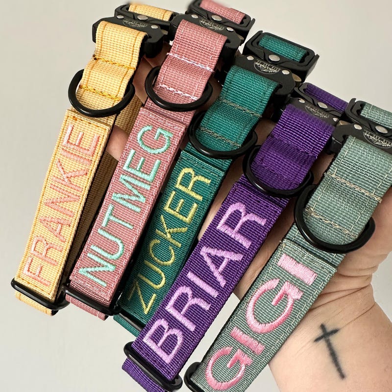 Tactipup Personalized Collar - Etsy