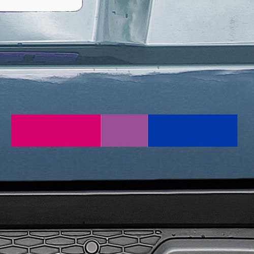 Lesbian Pride Lgbtq Pride Bumper Sticker Free Shipping Etsy