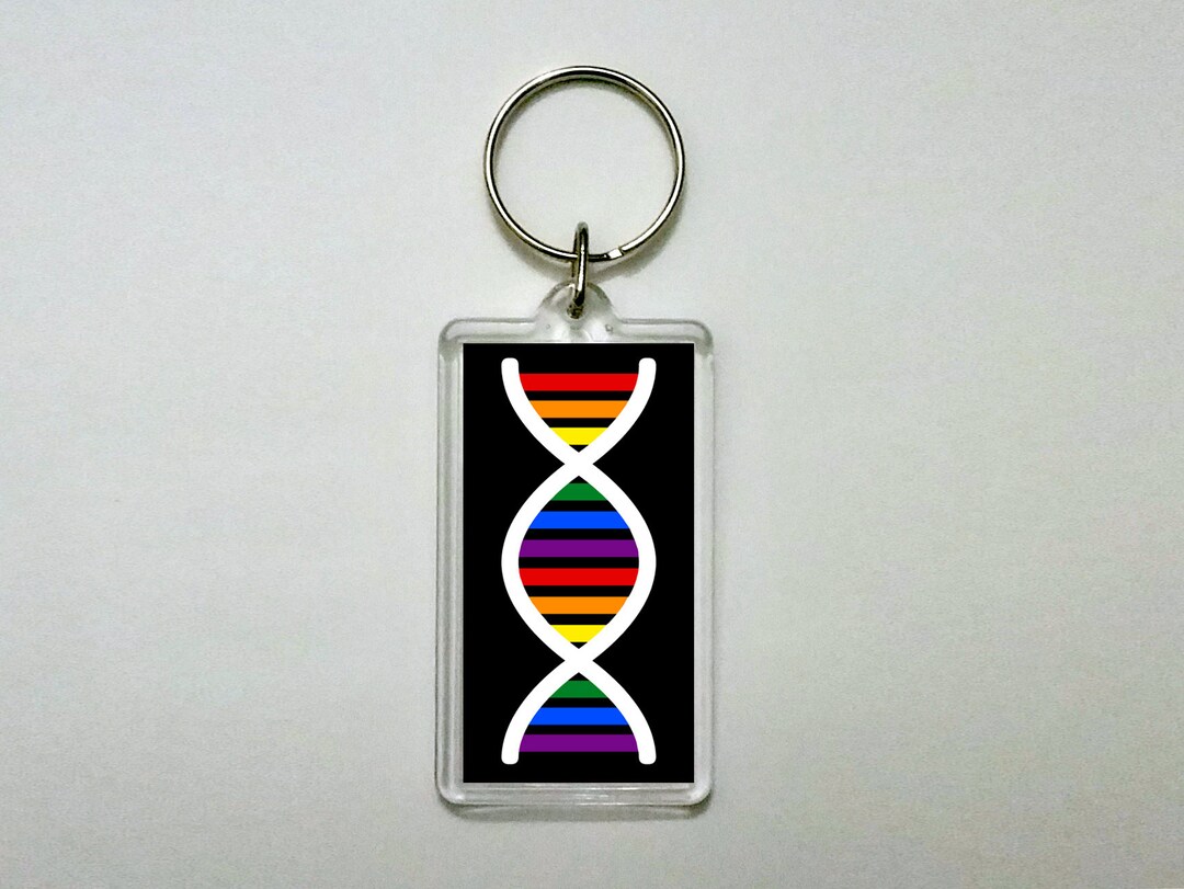 Rainbow DNA - Gay Rights LGBTQ Key Chain. Keychain Size - 1-3/8” Wide X ...