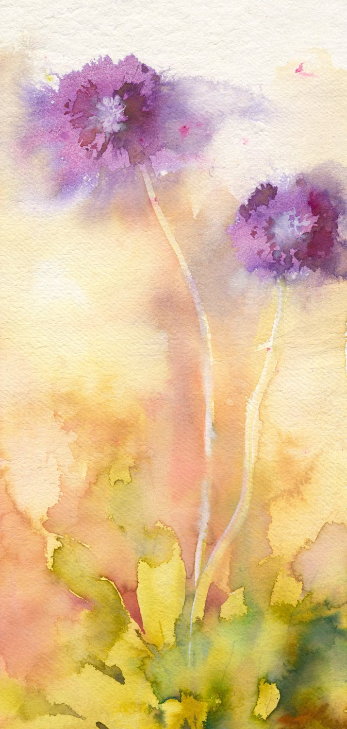 Primula Denticulata - Etsy