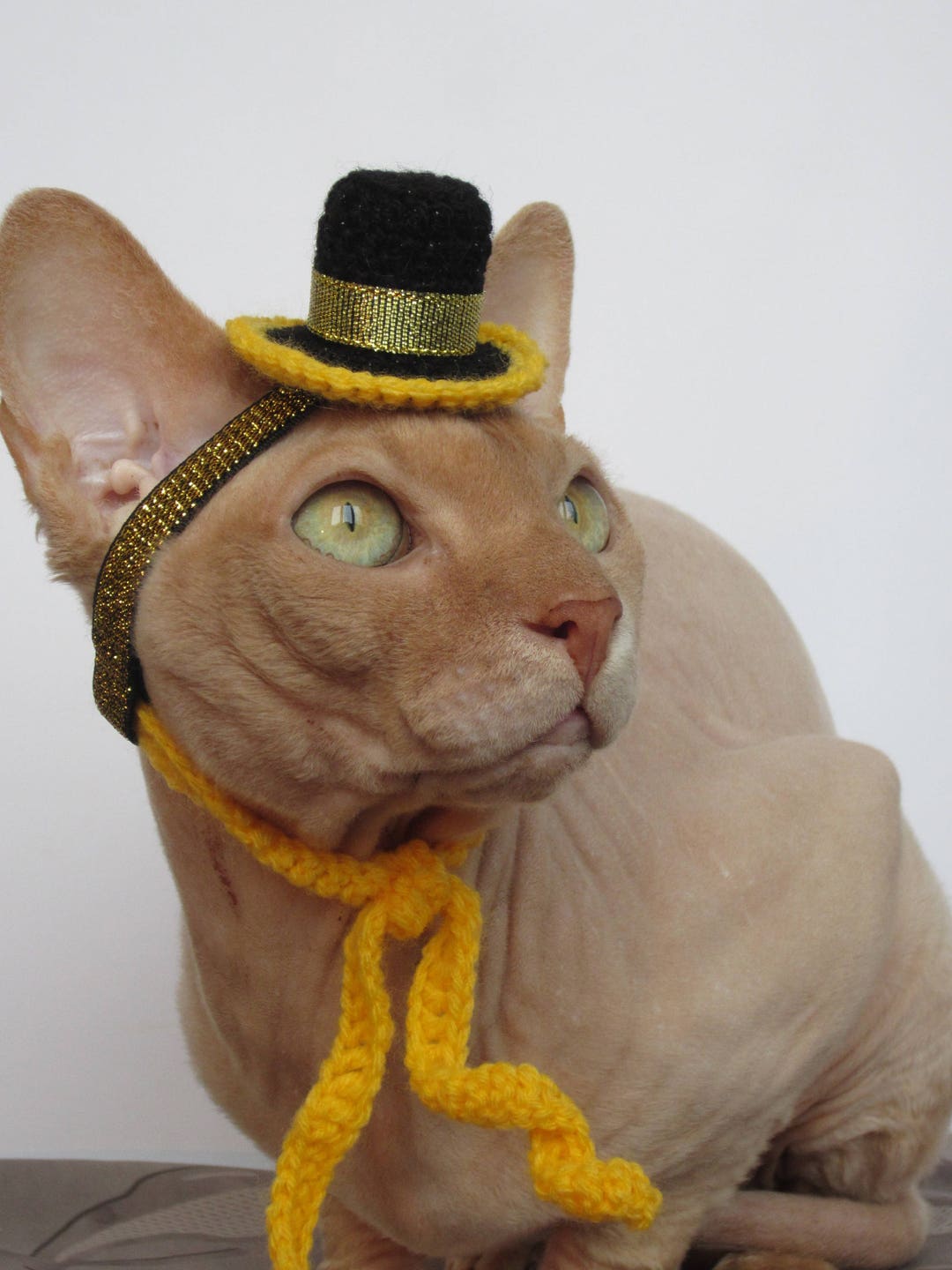 Cat Hat, Crochet Cat Hat, Animal Hat, Cat, Cat Costume, Pet Clothing ...