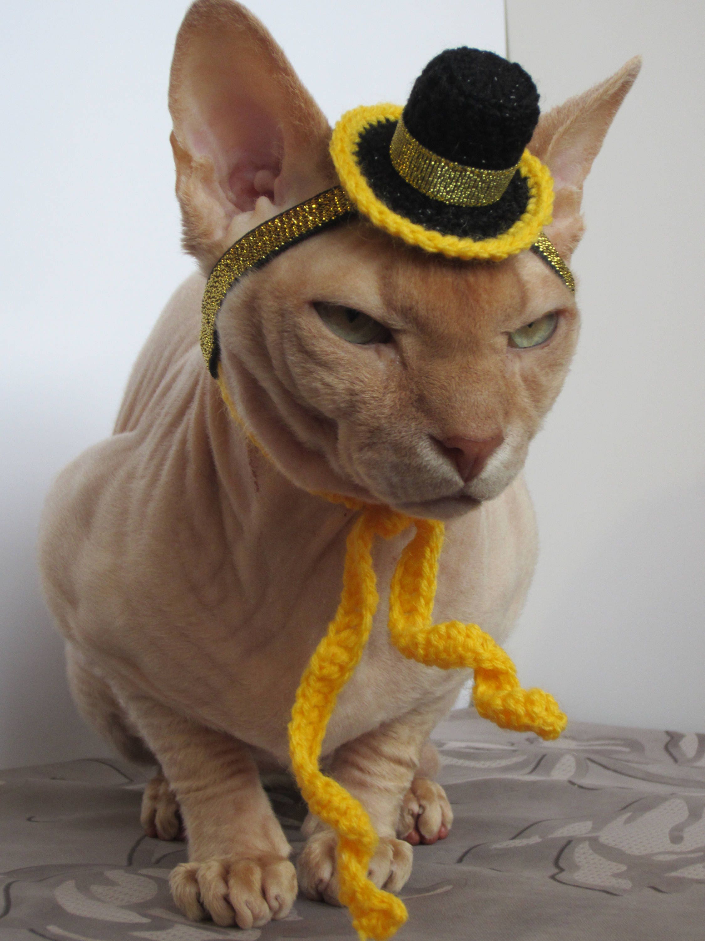 Cat Hat Crochet Cat Hat Animal Hat Cat Cat Costume Pet | Etsy