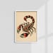American Traditional Scorpion Digital Art - Etsy