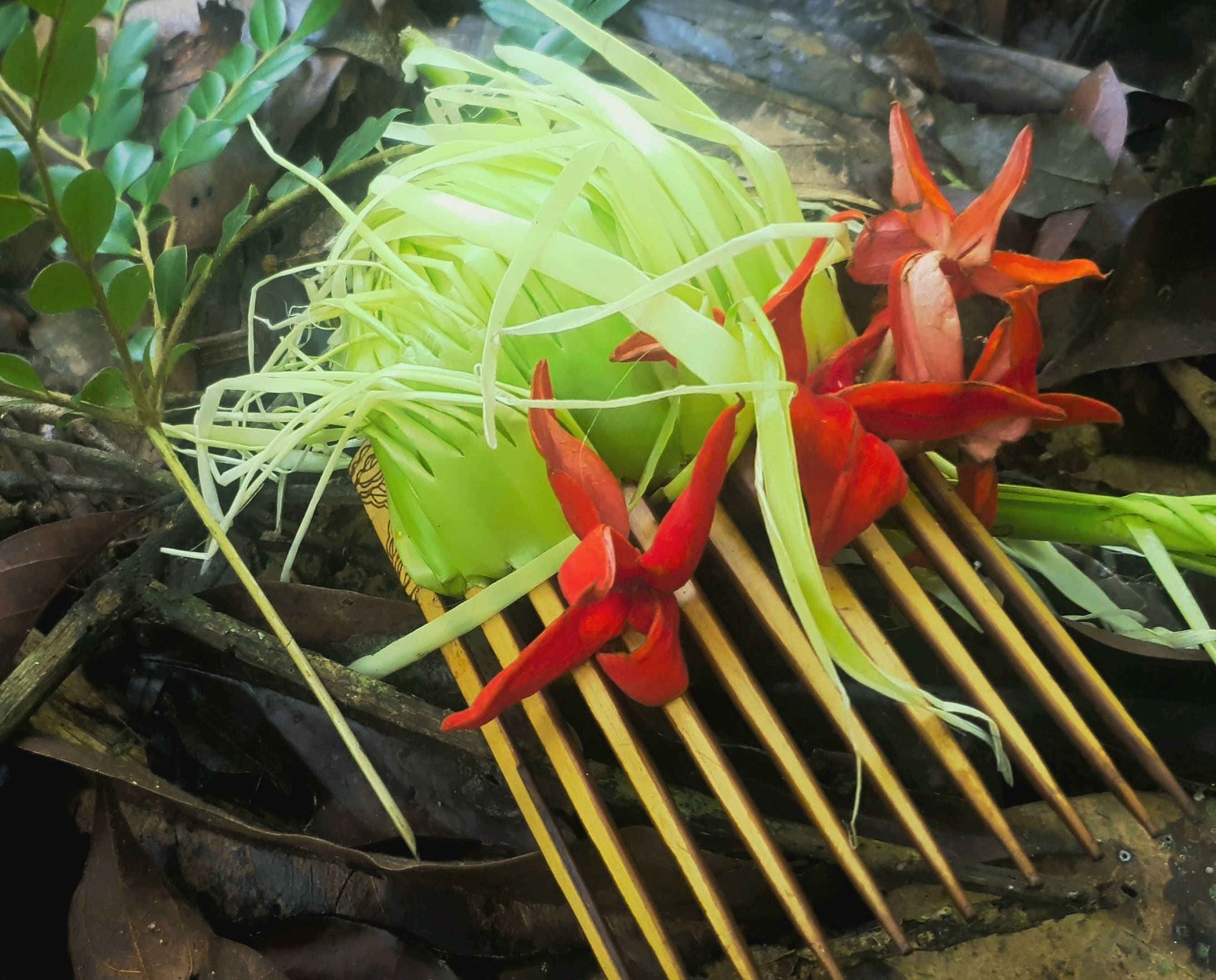 Beautiful Handmade Bamboo Comb. Indigenous Orang Asli Afro Pick ...