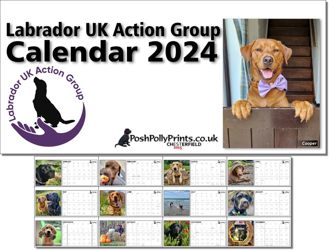 Labrador UK Action Group 2024 Desk Calendar - Etsy