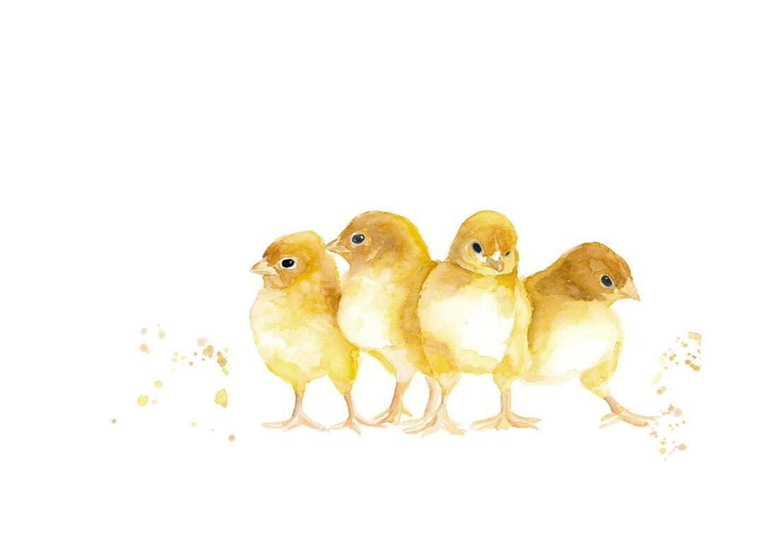 Chicks in a Row Watercolor Original Painting Farm Animal - Etsy