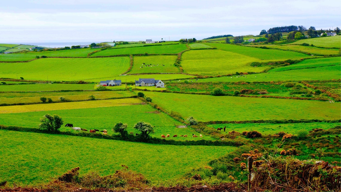 Best of Ireland Print Set, 30% OFF, Wall Art Gallery Set of 6 Prints - Etsy