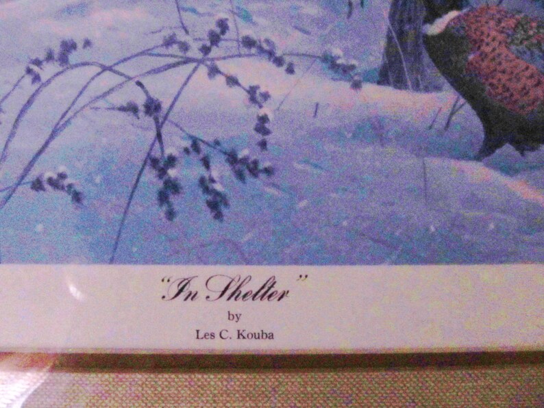 Les C. Kouba's Shelter Series, Artist Proof " in Shelter " Framed Print ...