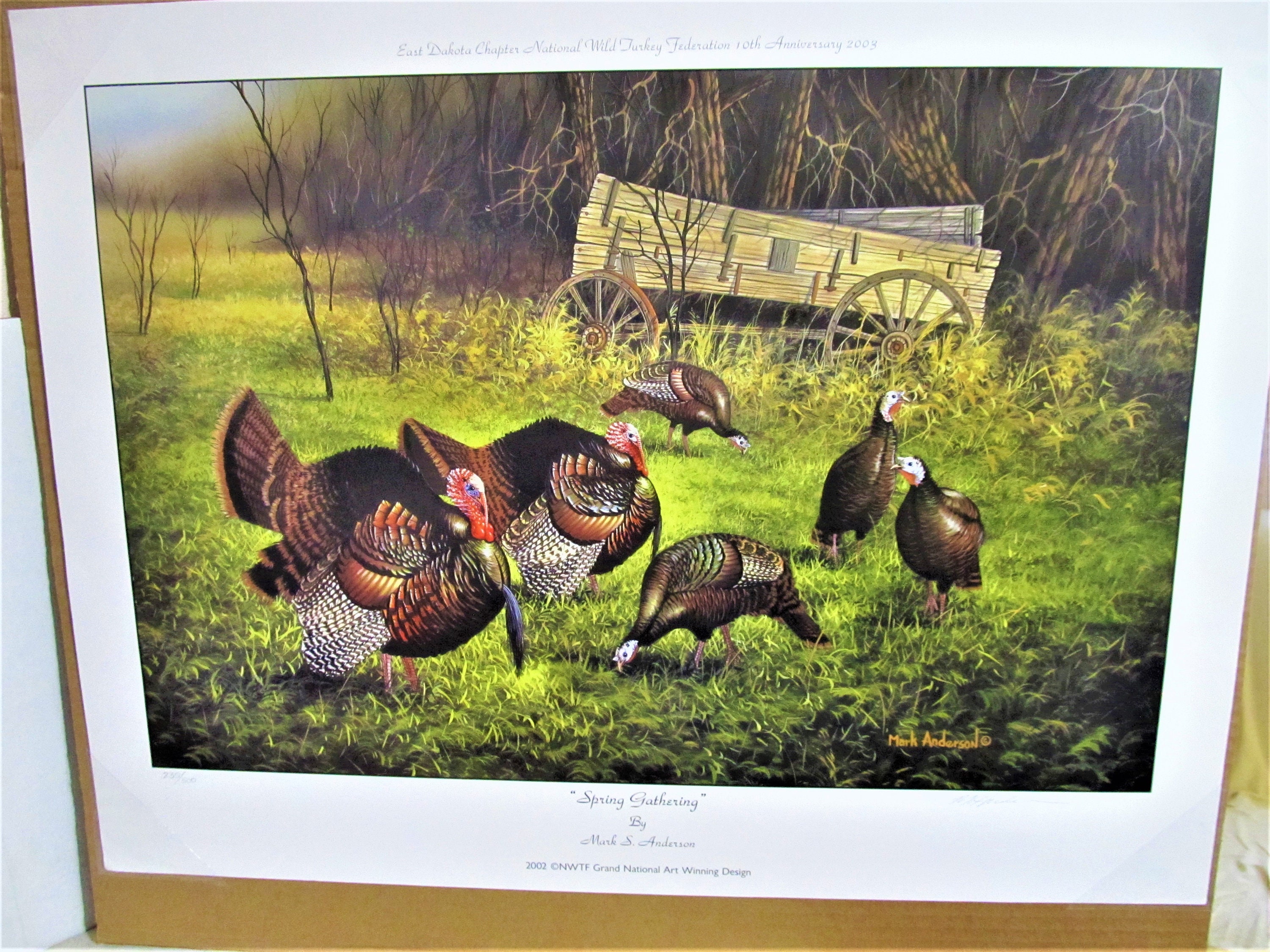 National Wild Turkey Federation
