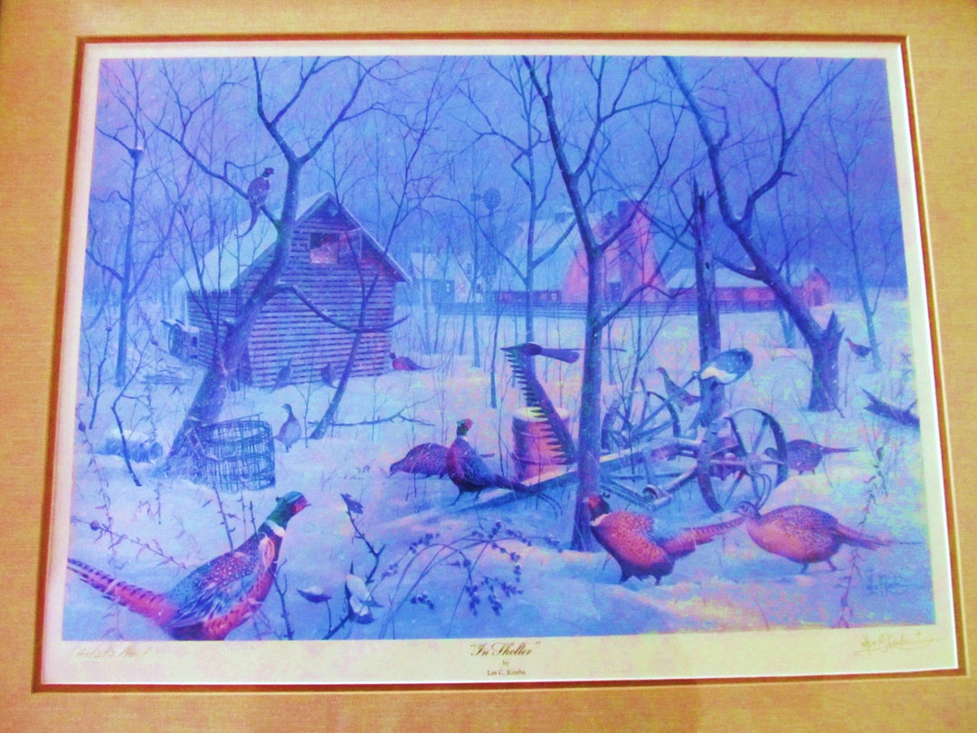 Les C. Kouba's Shelter Series, Artist Proof " in Shelter " Framed Print ...