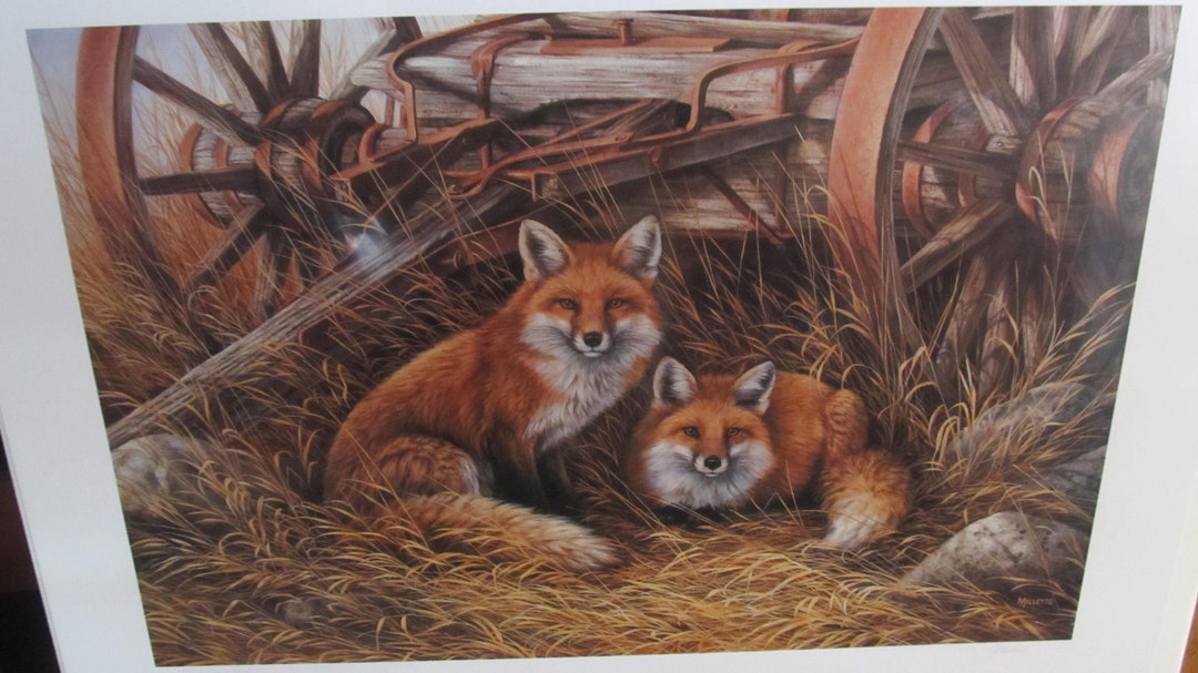 Rustic Retreat-red Fox - Etsy