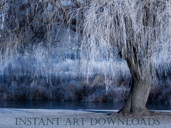 Christmas Winter Frozen Blue Tree Backdrop Background Lake | Etsy