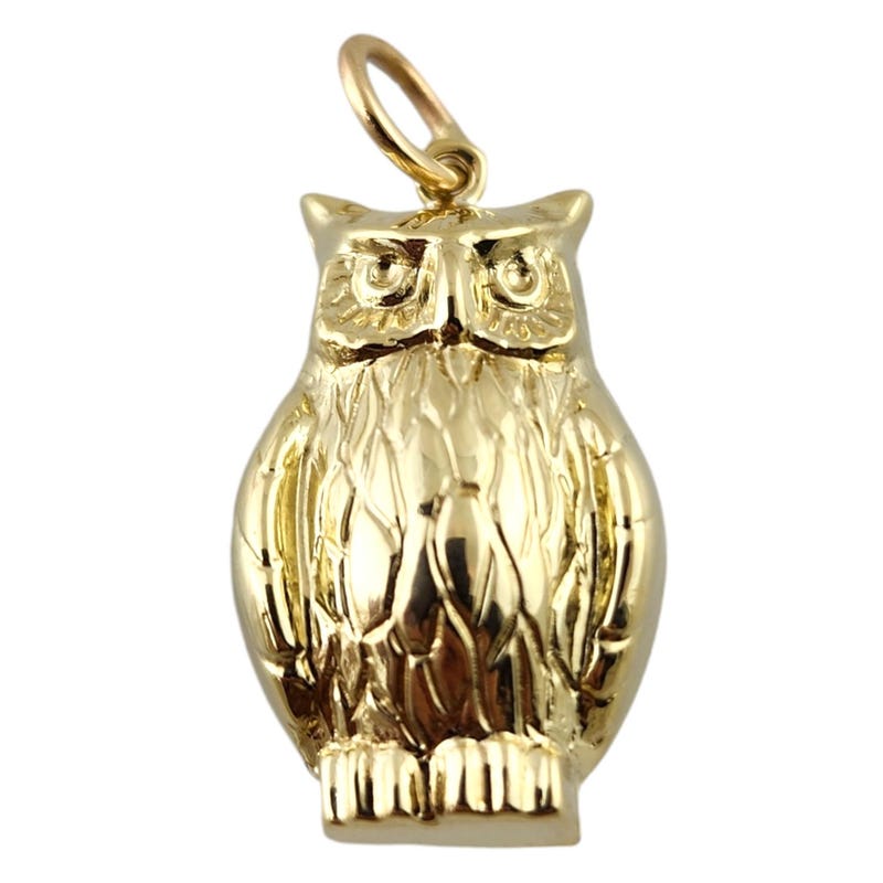Owl Charms - Etsy