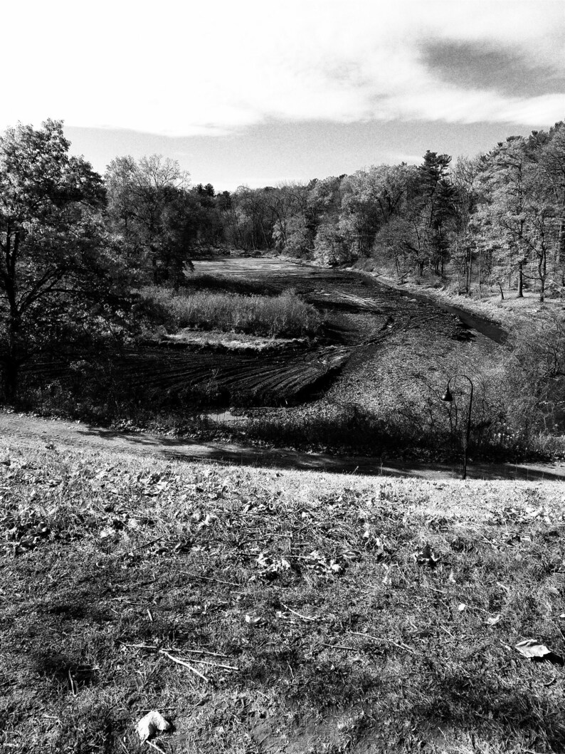 Smith College Paradise Pond Black and White Film Photography ...