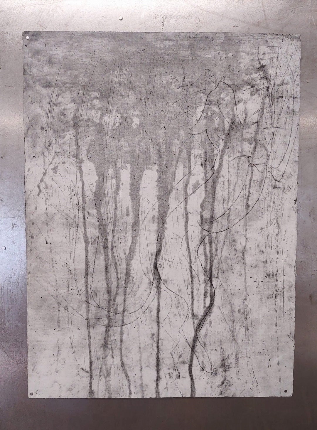 Original Etching Intaglio Print Grey and White Cat Softground Spit Bite ...