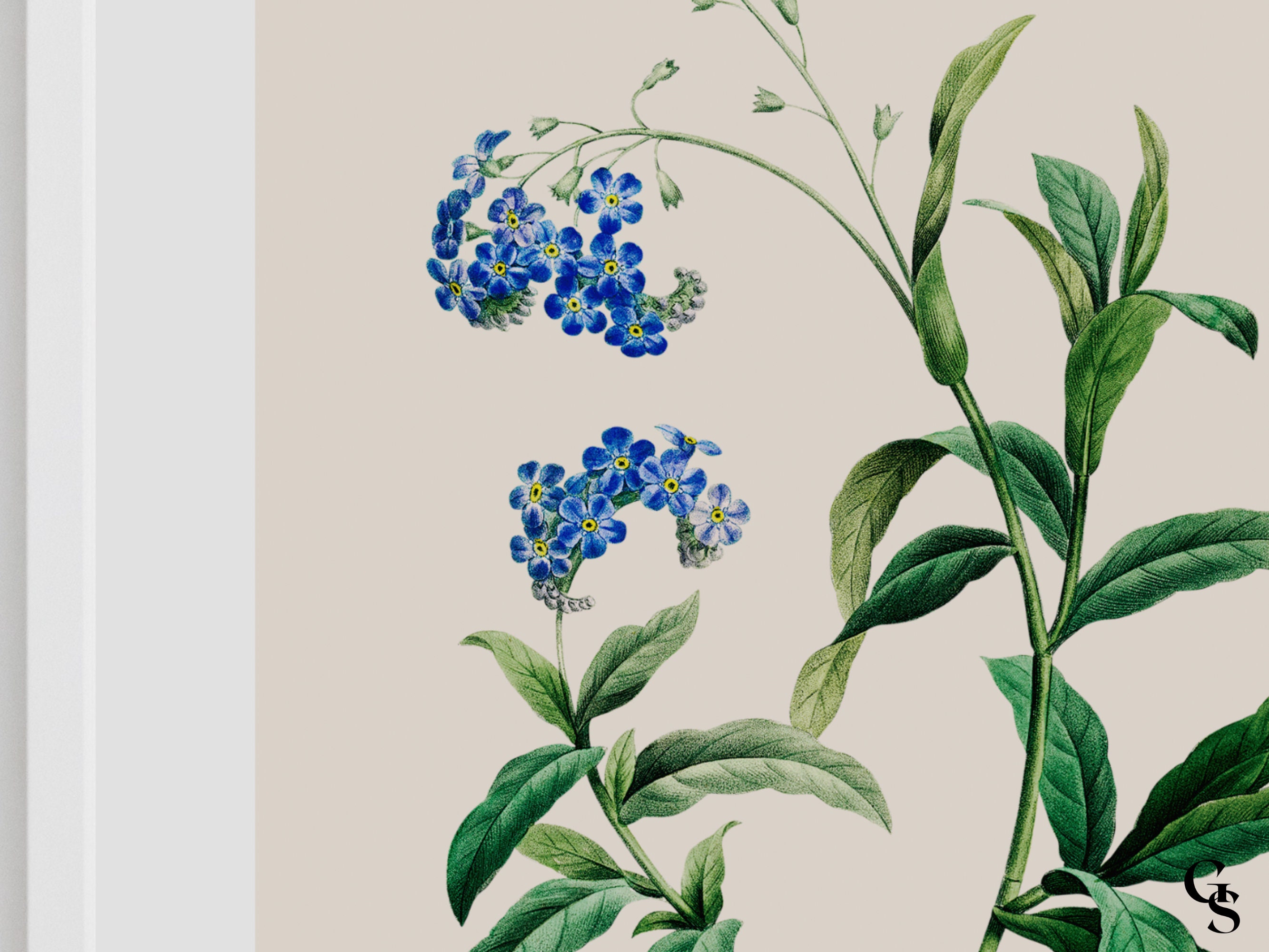 Florence Flower Market Print, Aesthetic Room Decor, Vintage Flower ...