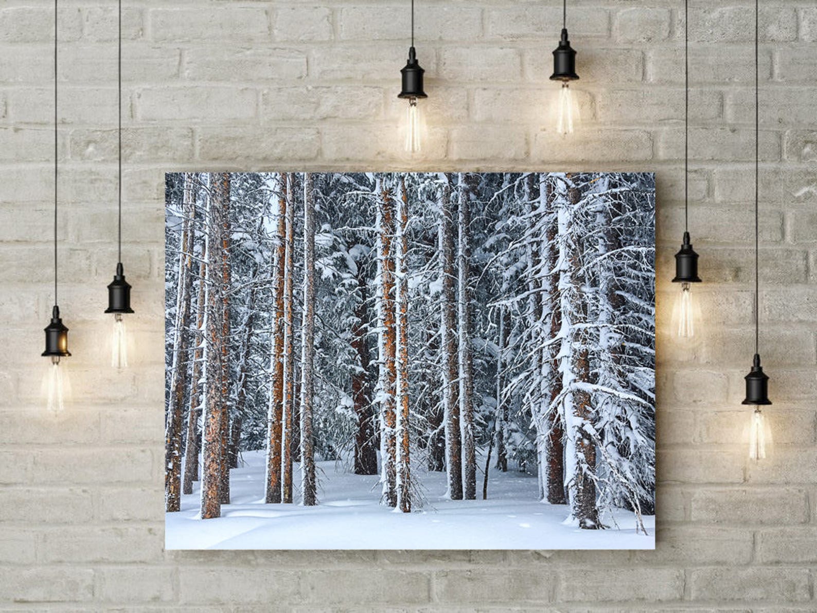 Vail Colorado, Colorado Art Print, Colorado Photography, Mountain Decor ...