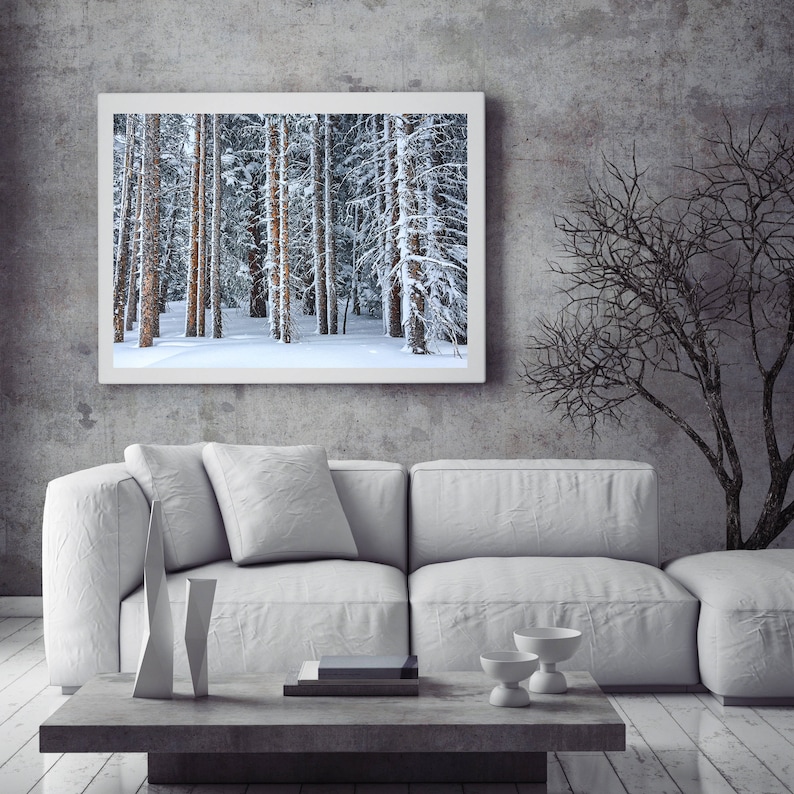 Vail Colorado, Colorado Art Print, Colorado Photography, Mountain Decor ...